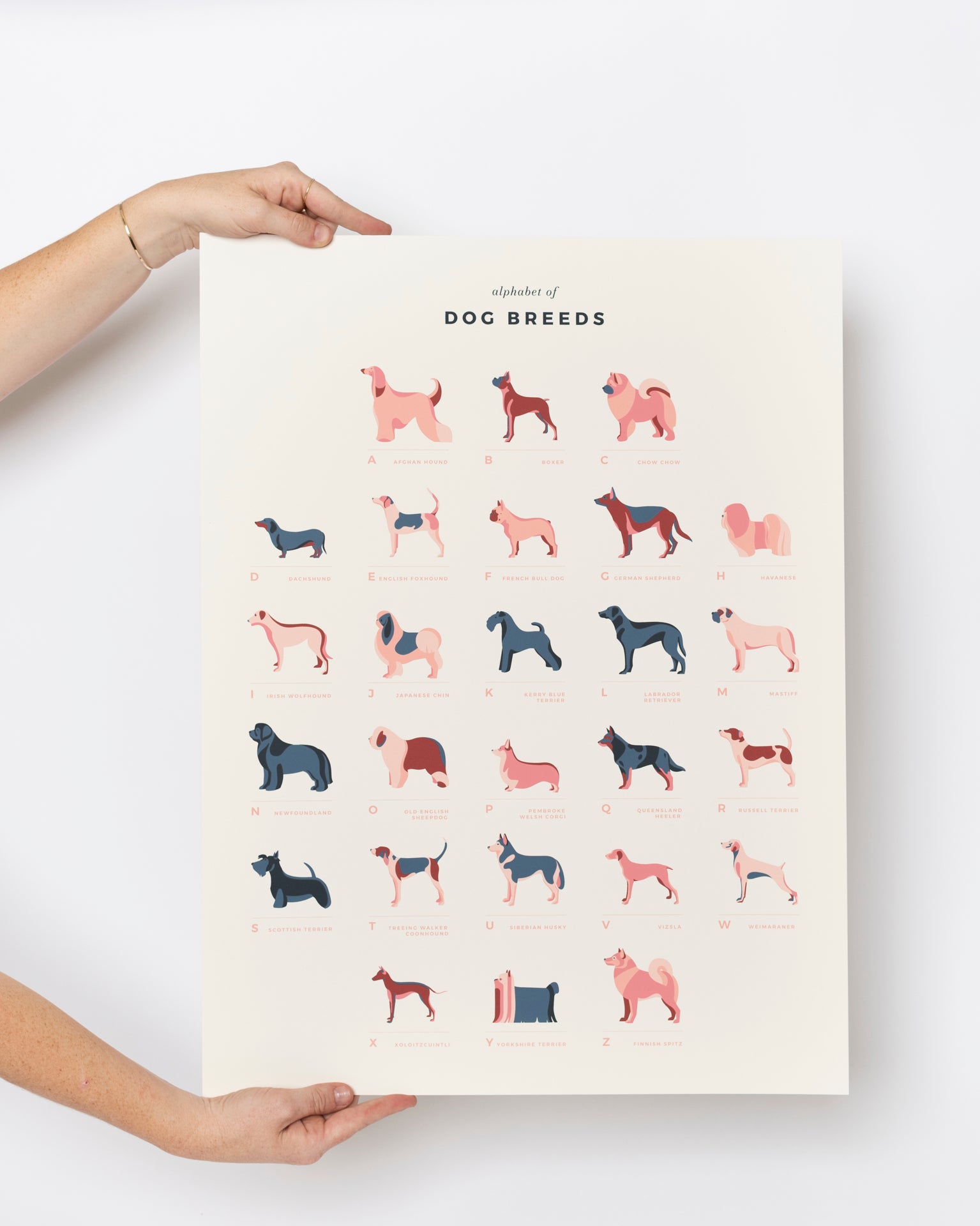 Dog Breeds Alphabet By